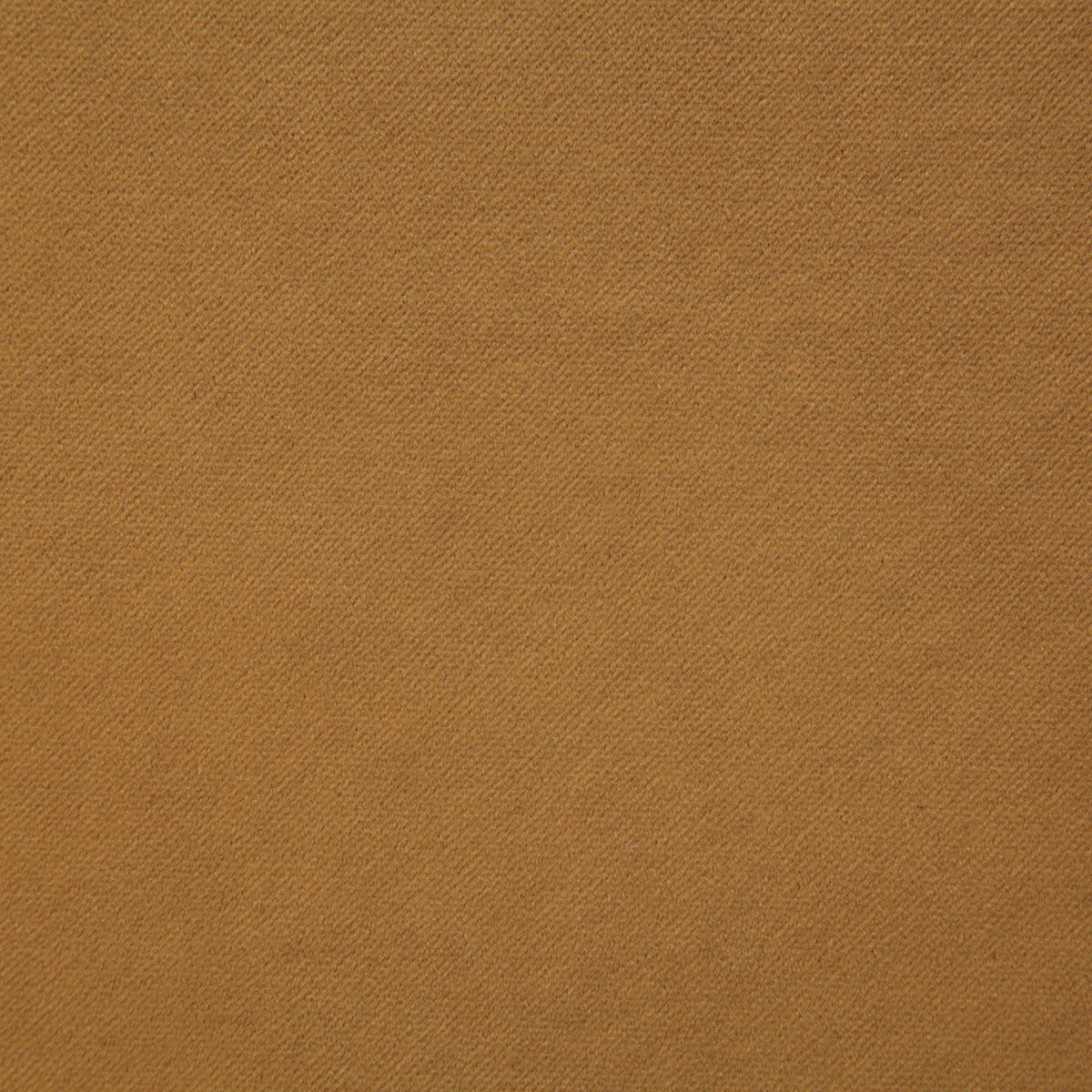 Pindler & Pindler Amori Amber Fabric | OnlineFabricStore