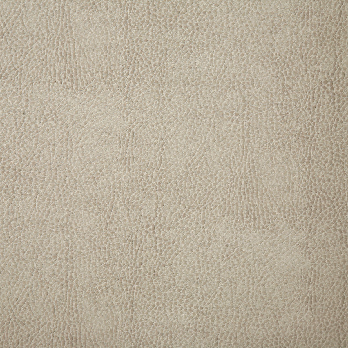 Pindler & Pindler Buckaroo Beige Fabric | OnlineFabricStore
