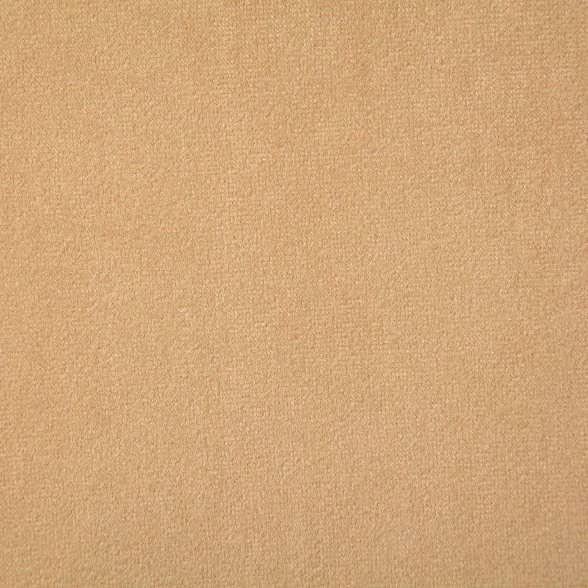 Pindler & Pindler Voltaire Camel Fabric | OnlineFabricStore