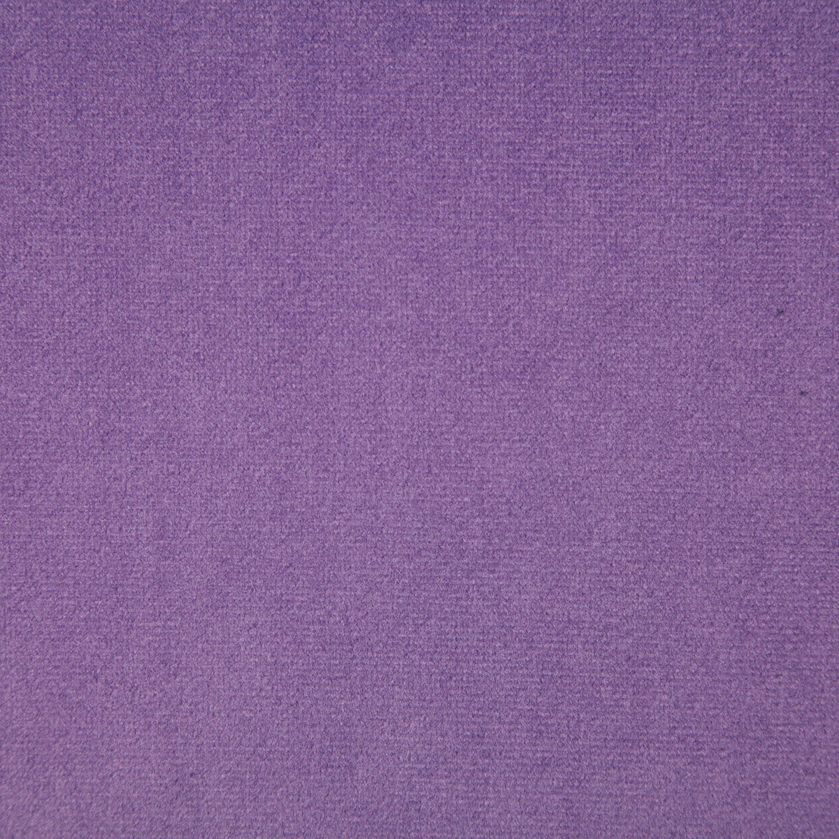 Pindler & Pindler Voltaire Violet Fabric | OnlineFabricStore