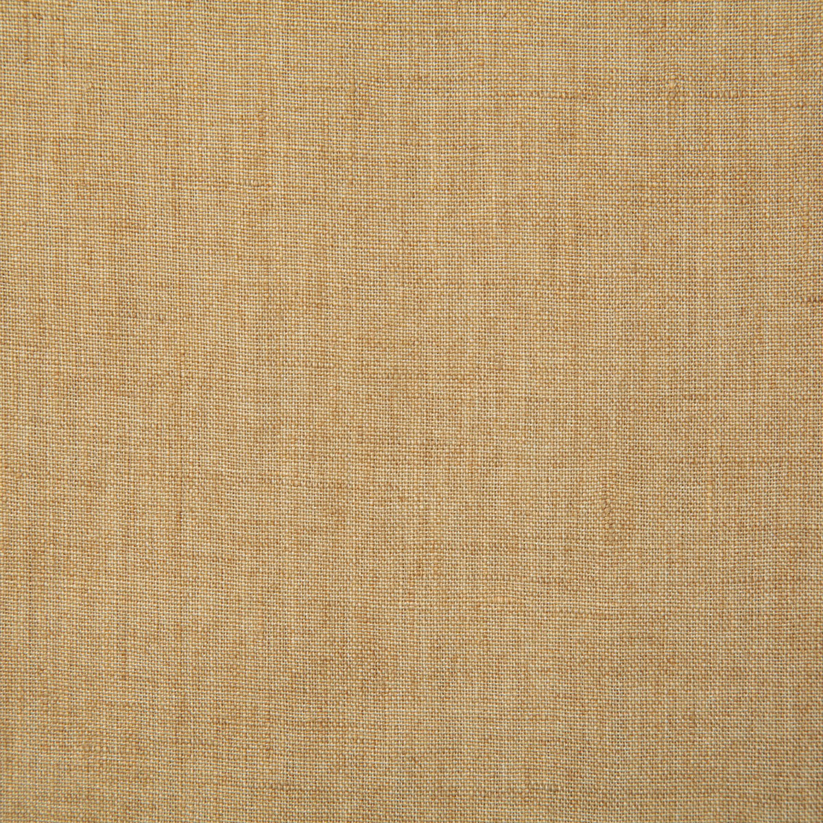 Pindler & Pindler Linette Wheat Fabric | OnlineFabricStore