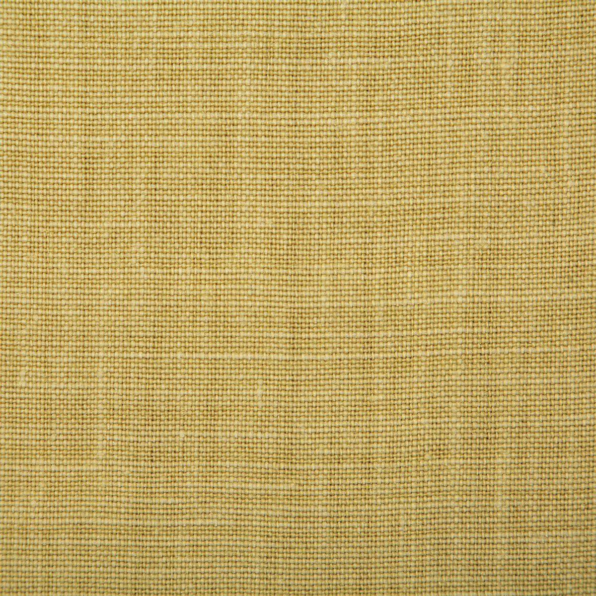 Pindler & Pindler Paloma Citrus Fabric | OnlineFabricStore