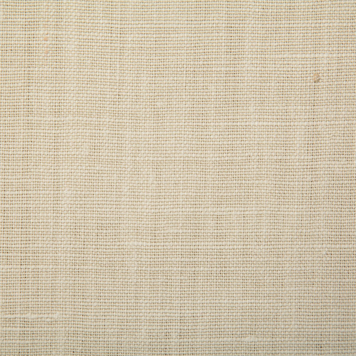 Pindler & Pindler Paloma Ivory Fabric | OnlineFabricStore