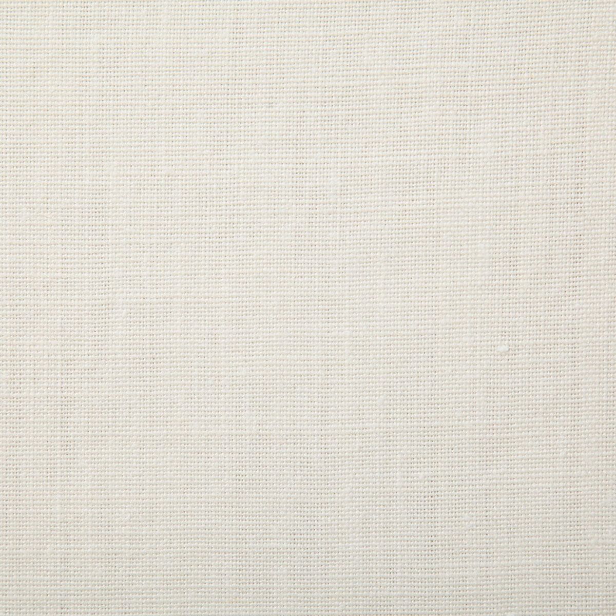 Pindler & Pindler Paloma White Fabric | OnlineFabricStore