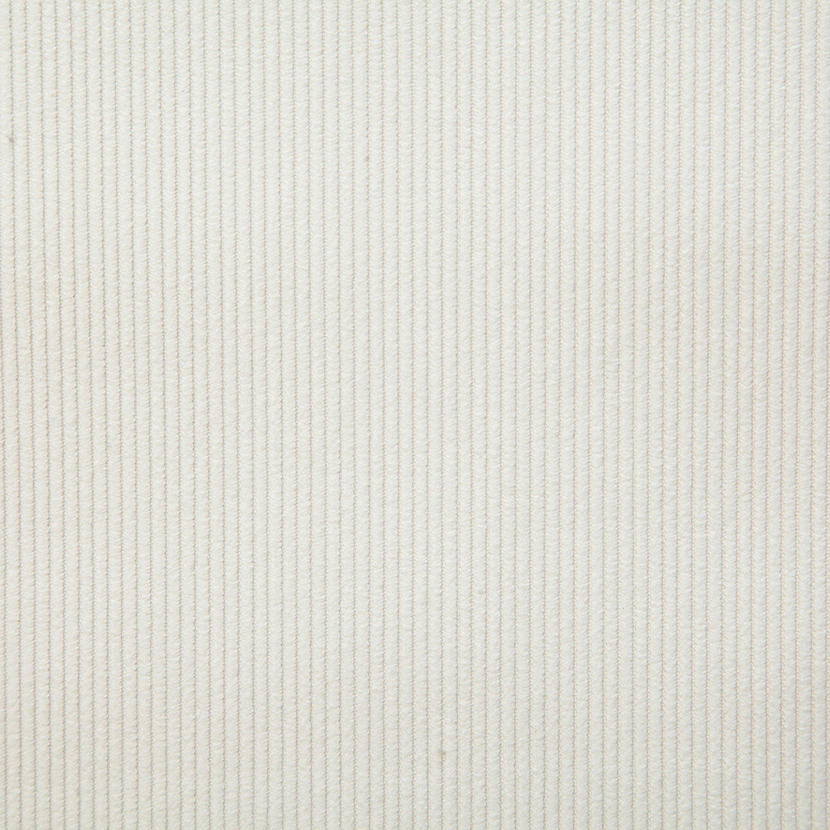 Pindler & Pindler Jones Vanilla Fabric | OnlineFabricStore