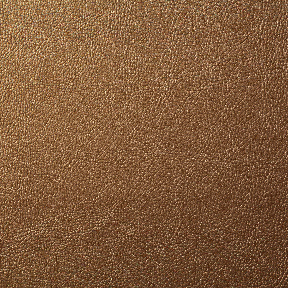 Pindler & Pindler Howdy Gold Fabric | OnlineFabricStore