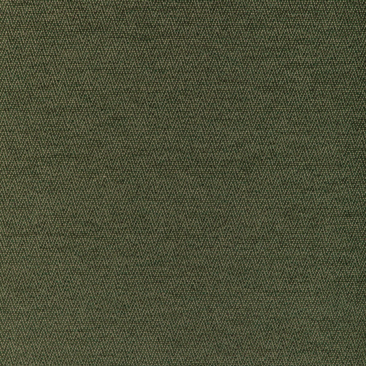 Brunschwig & Fils Beauvoir Texture Green Fabric | OnlineFabricStore