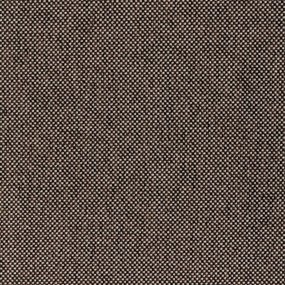 Brunschwig & Fils Les Canvas Plain Pumice Fabric | OnlineFabricStore