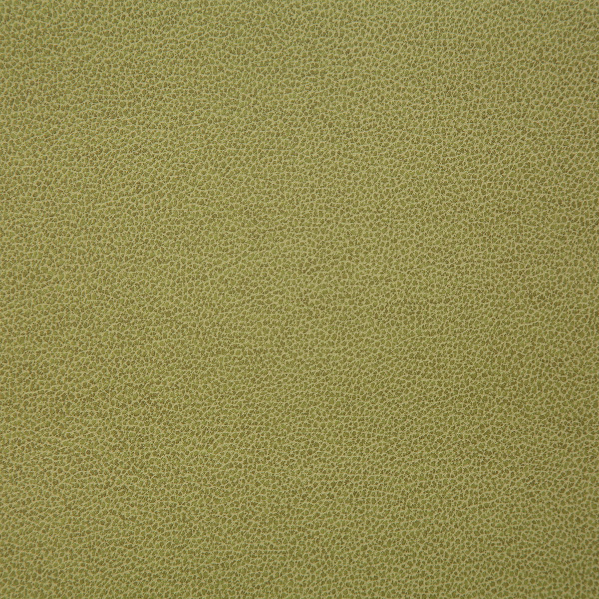 Pindler & Pindler Lasso Citron Fabric | OnlineFabricStore