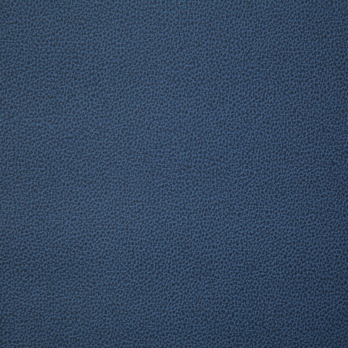 Pindler & Pindler Lasso Harbor Fabric | OnlineFabricStore