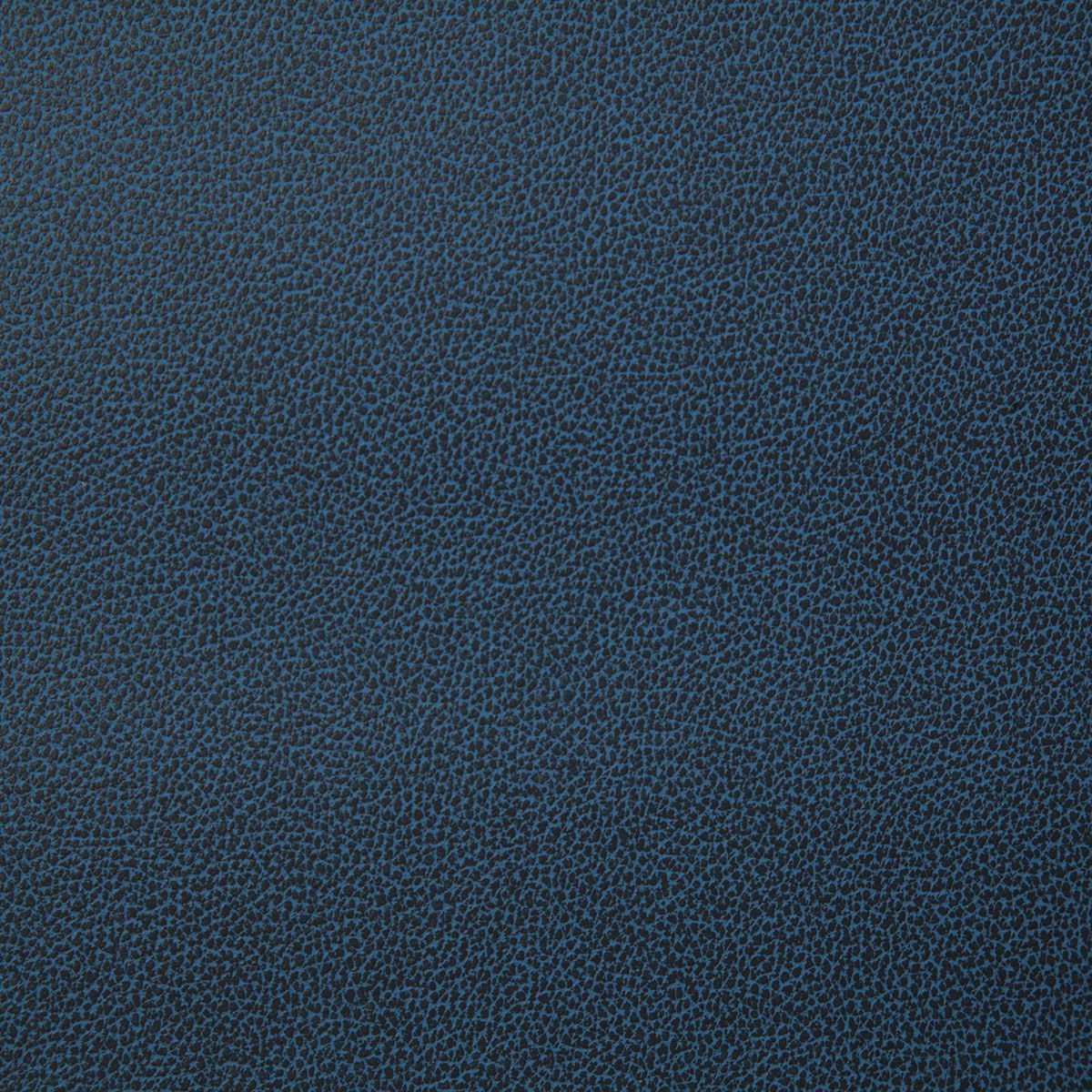 Pindler & Pindler Lasso Ink Fabric | OnlineFabricStore