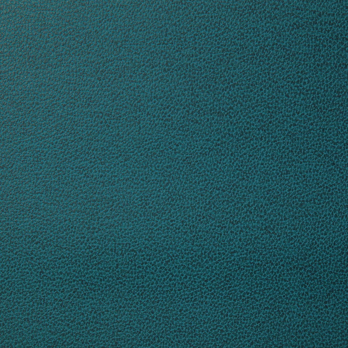 Pindler & Pindler Lasso Teal Fabric | OnlineFabricStore