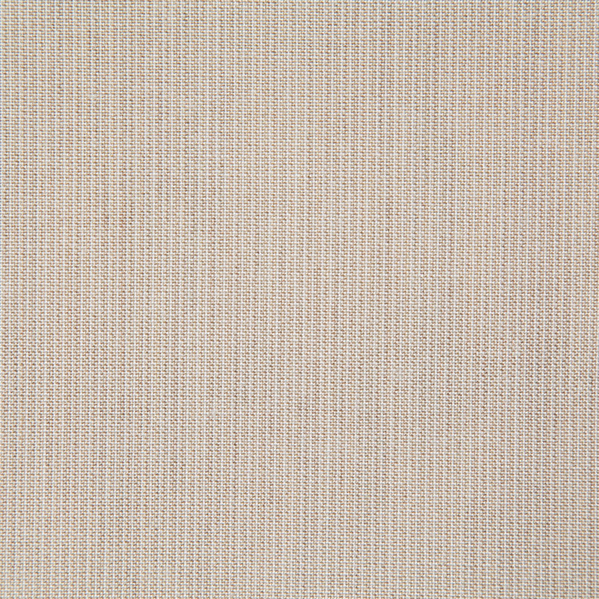 Pindler & Pindler Rockwell Shell Fabric | OnlineFabricStore