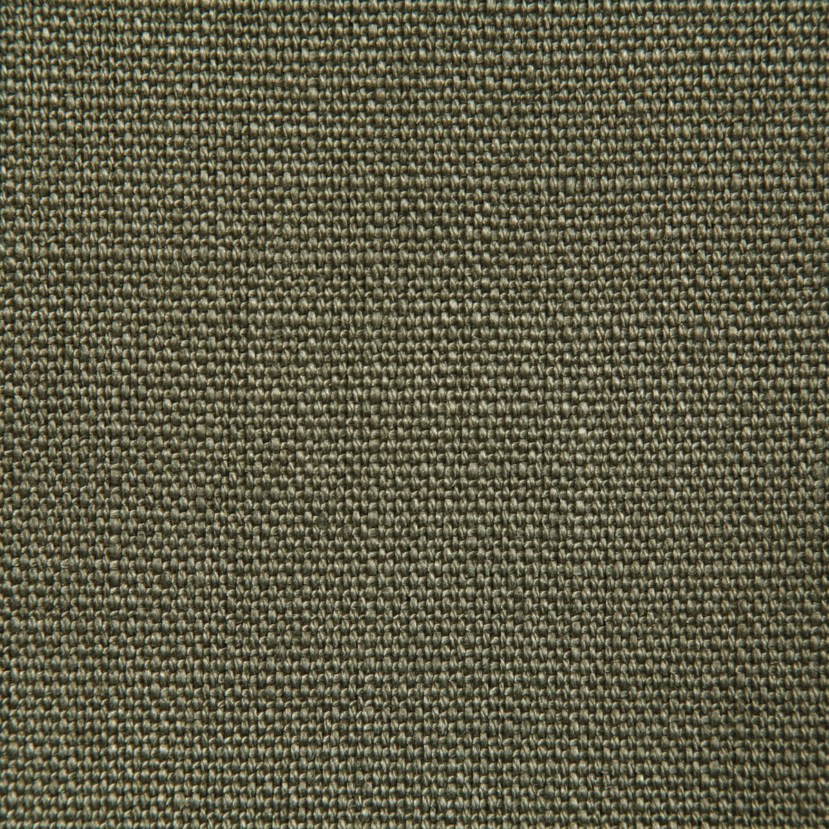 Pindler & Pindler Ghent Lichen Fabric | OnlineFabricStore