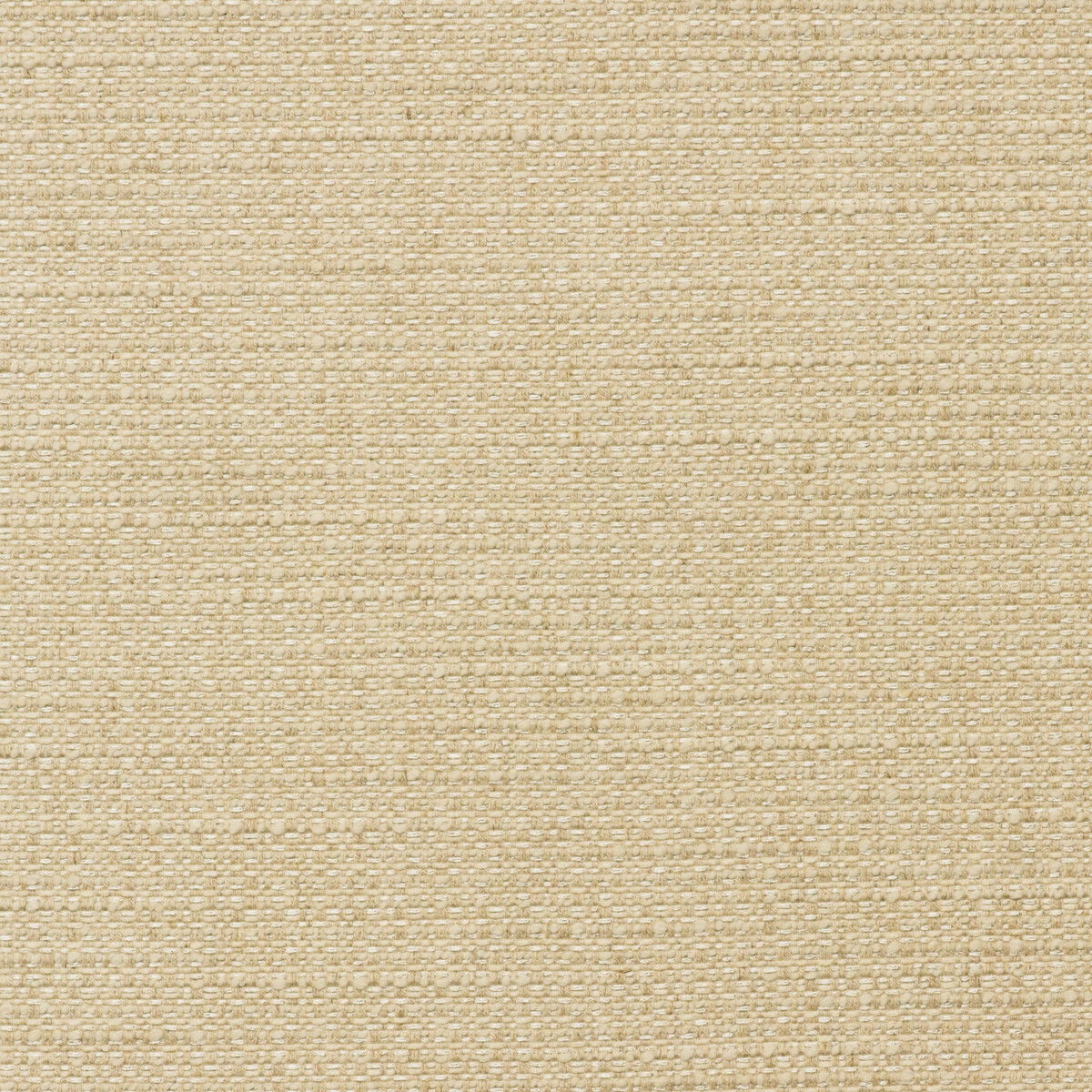 Kravet Tender Rope Fabric | OnlineFabricStore