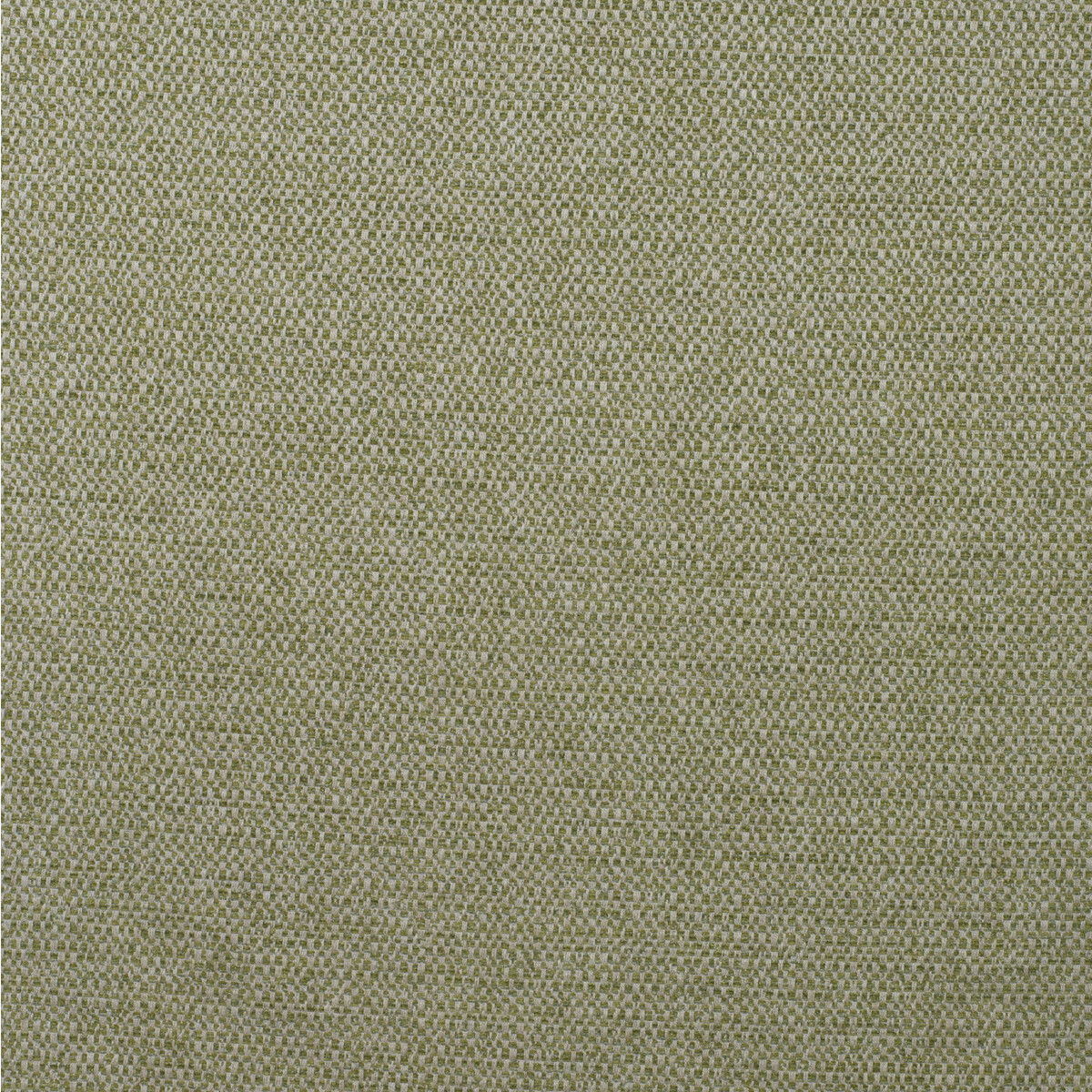 Kravet Jetty Reed Fabric | OnlineFabricStore