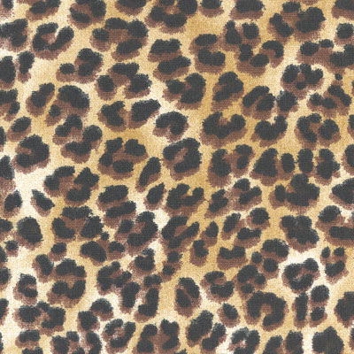 Premier Prints Amazon Sand Canvas Fabric | OnlineFabricStore