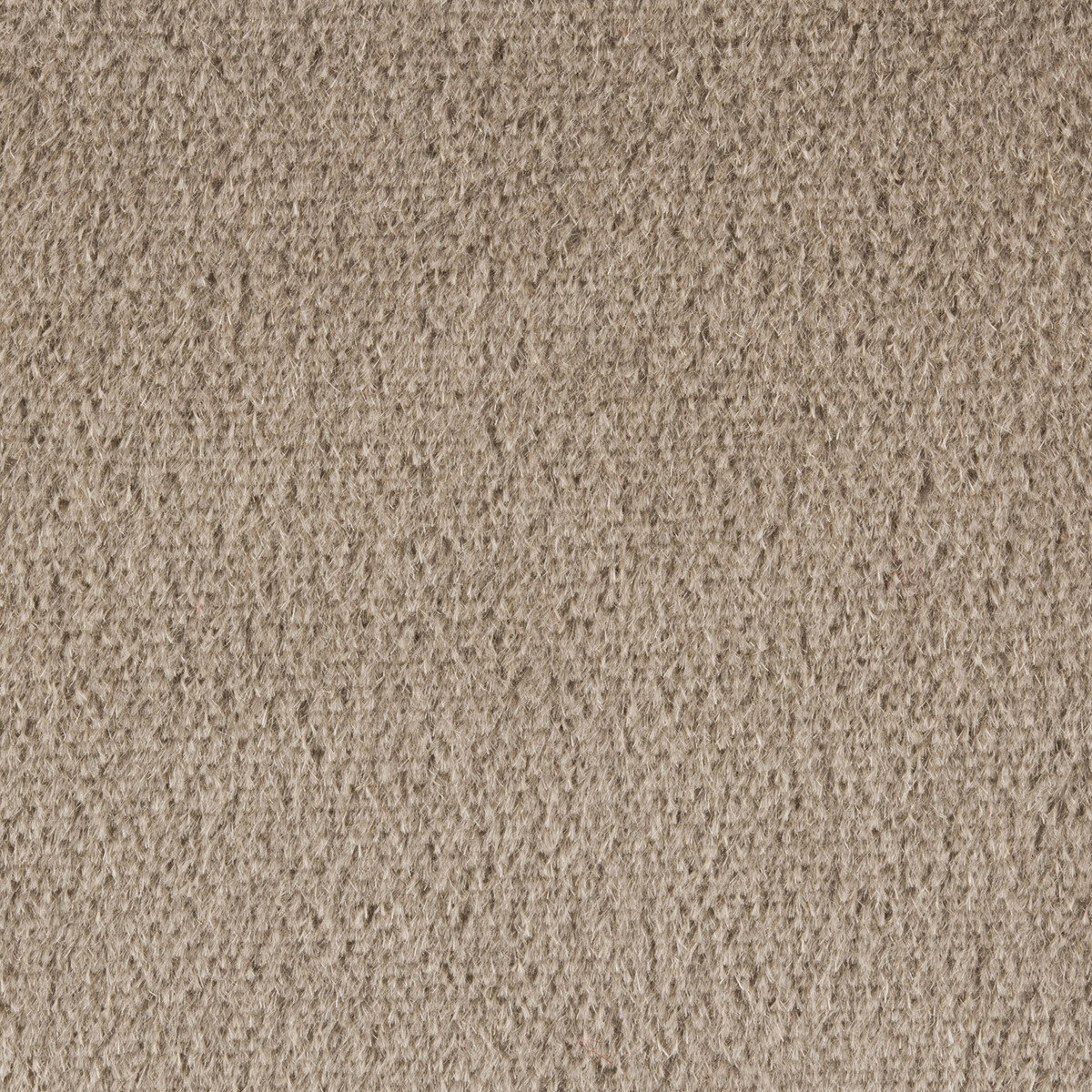 Brunschwig & Fils Autun Mohair Velvet Pumice Fabric | OnlineFabricStore