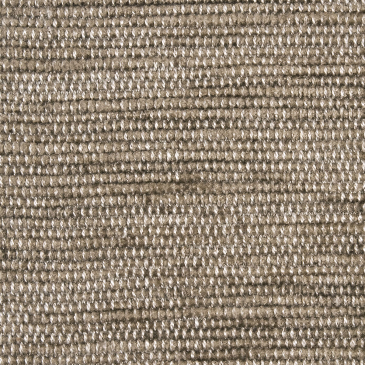 Threads Charisma Mocha Fabric | OnlineFabricStore