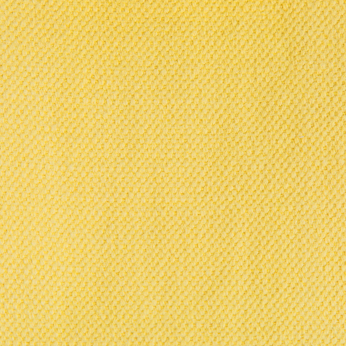Gastón y Daniela Lima Amarillo Fabric | OnlineFabricStore