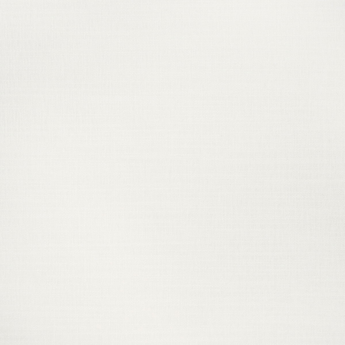 Gastón y Daniela Moro Blanco Fabric | OnlineFabricStore