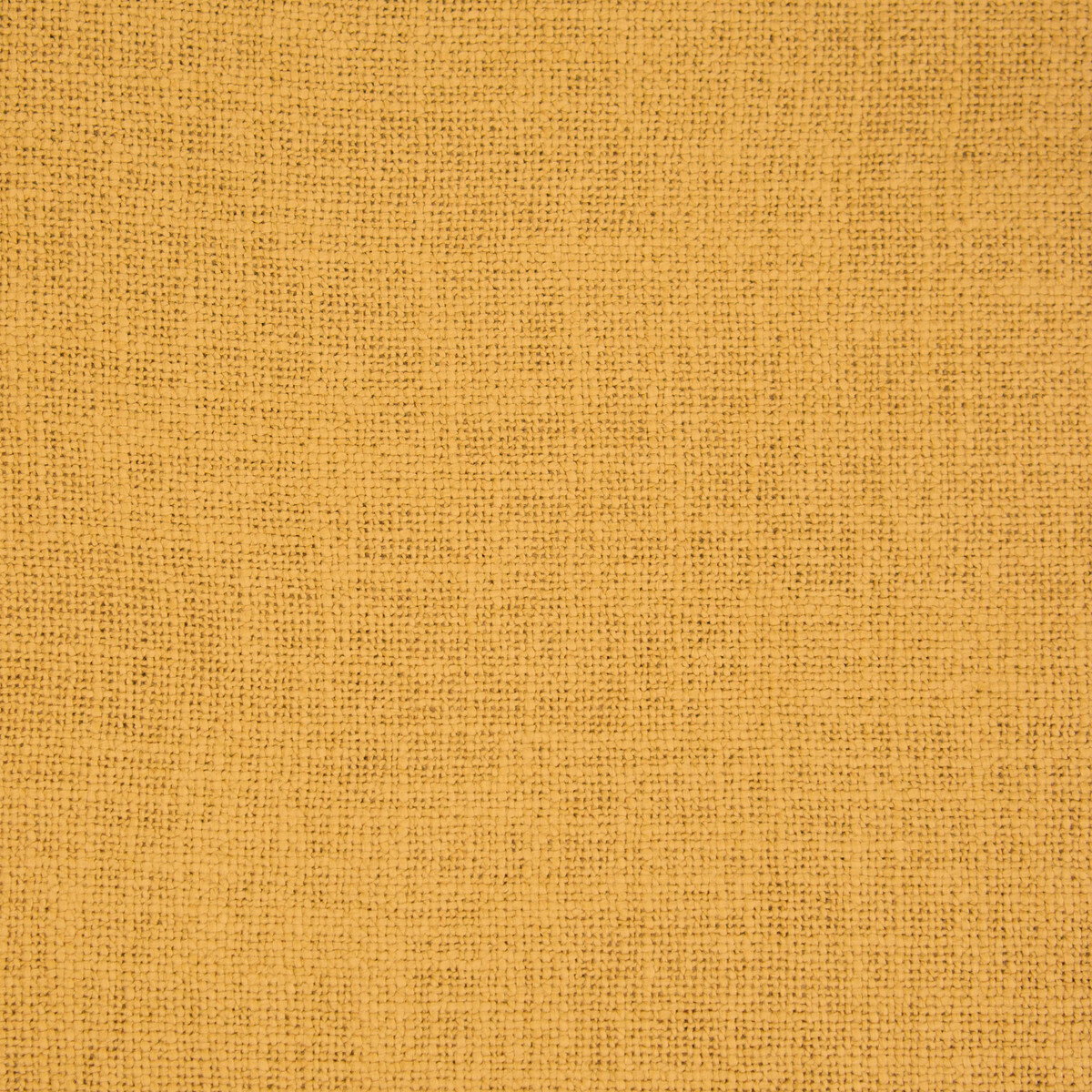 Gastón y Daniela Bellver Ocre Fabric | OnlineFabricStore
