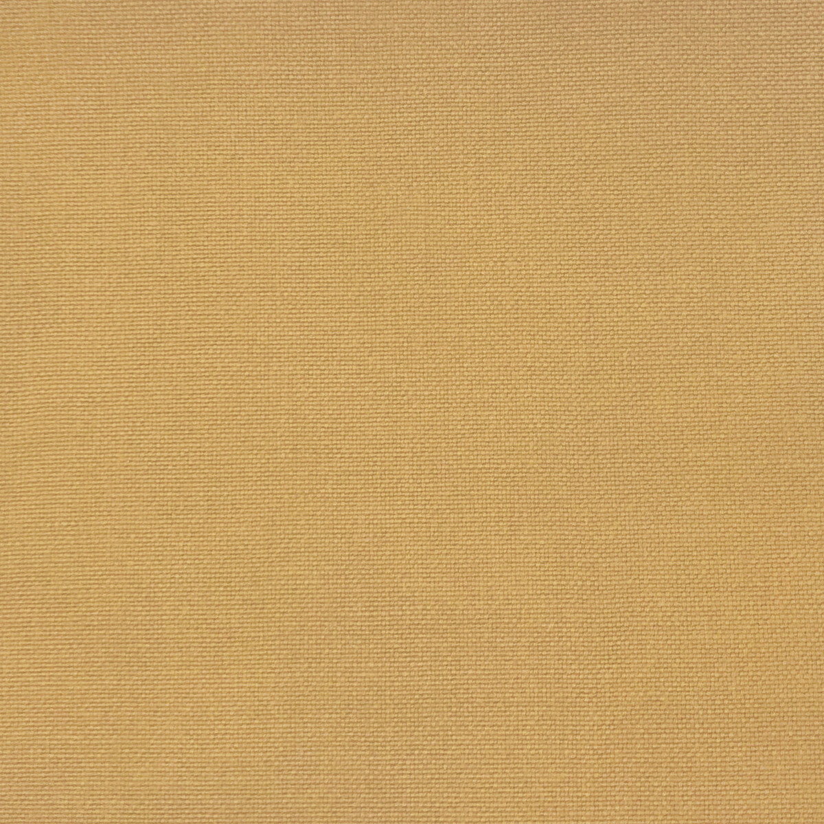 Gastón y Daniela Palma Ocre Fabric | OnlineFabricStore