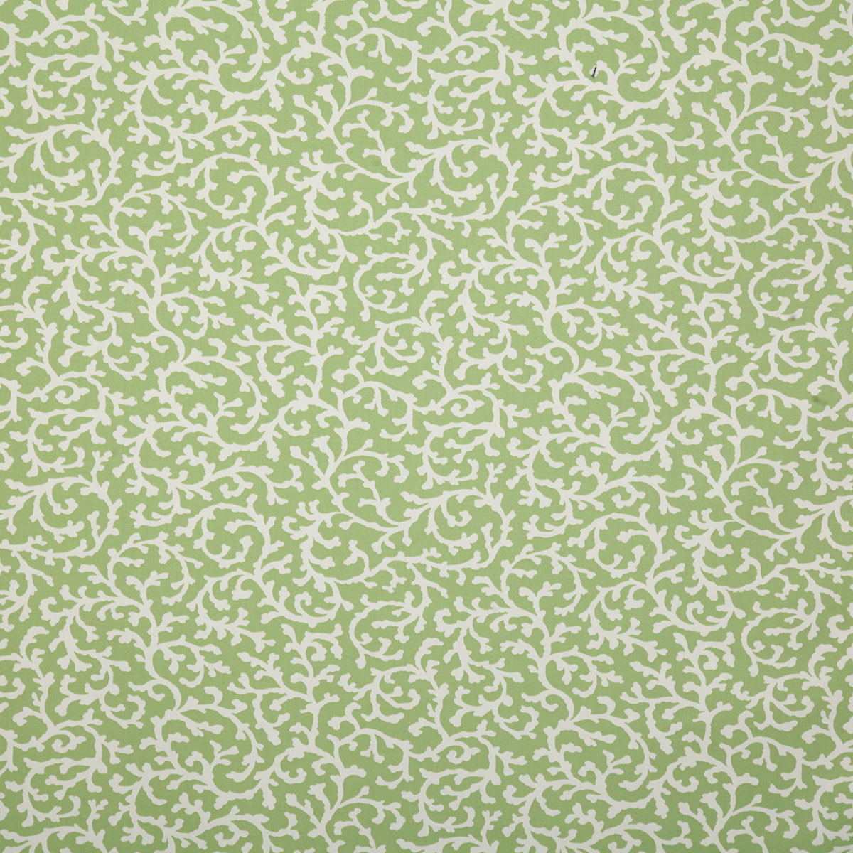 Pindler & Pindler Coral Reef Leaf Fabric | OnlineFabricStore