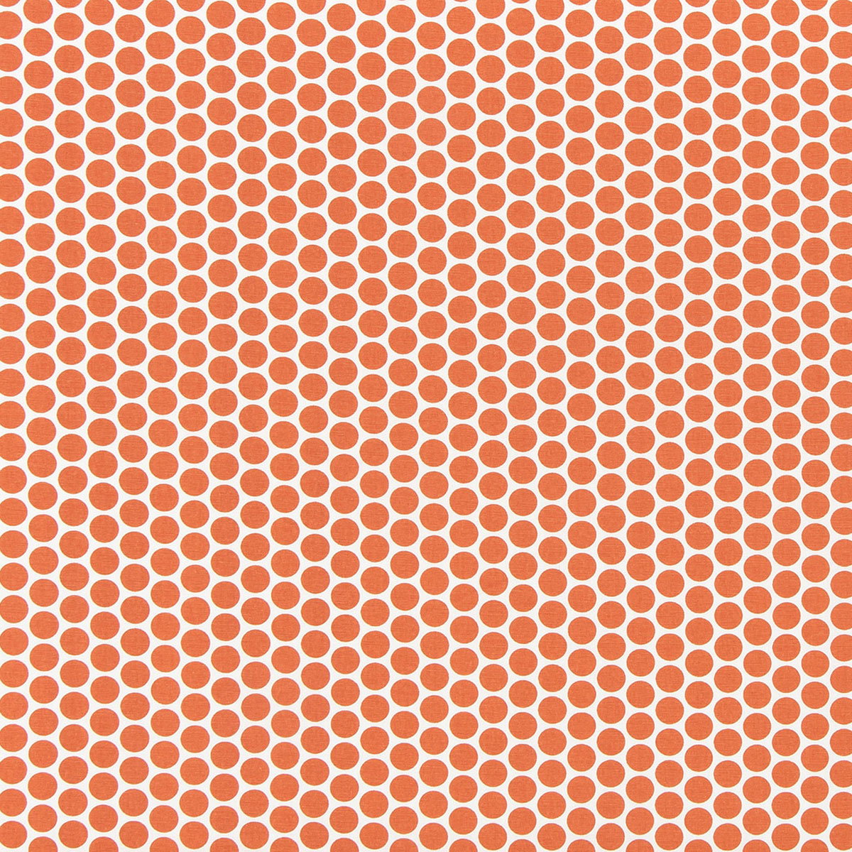 Premier Prints Paco Fiesta Canvas Fabric | OnlineFabricStore