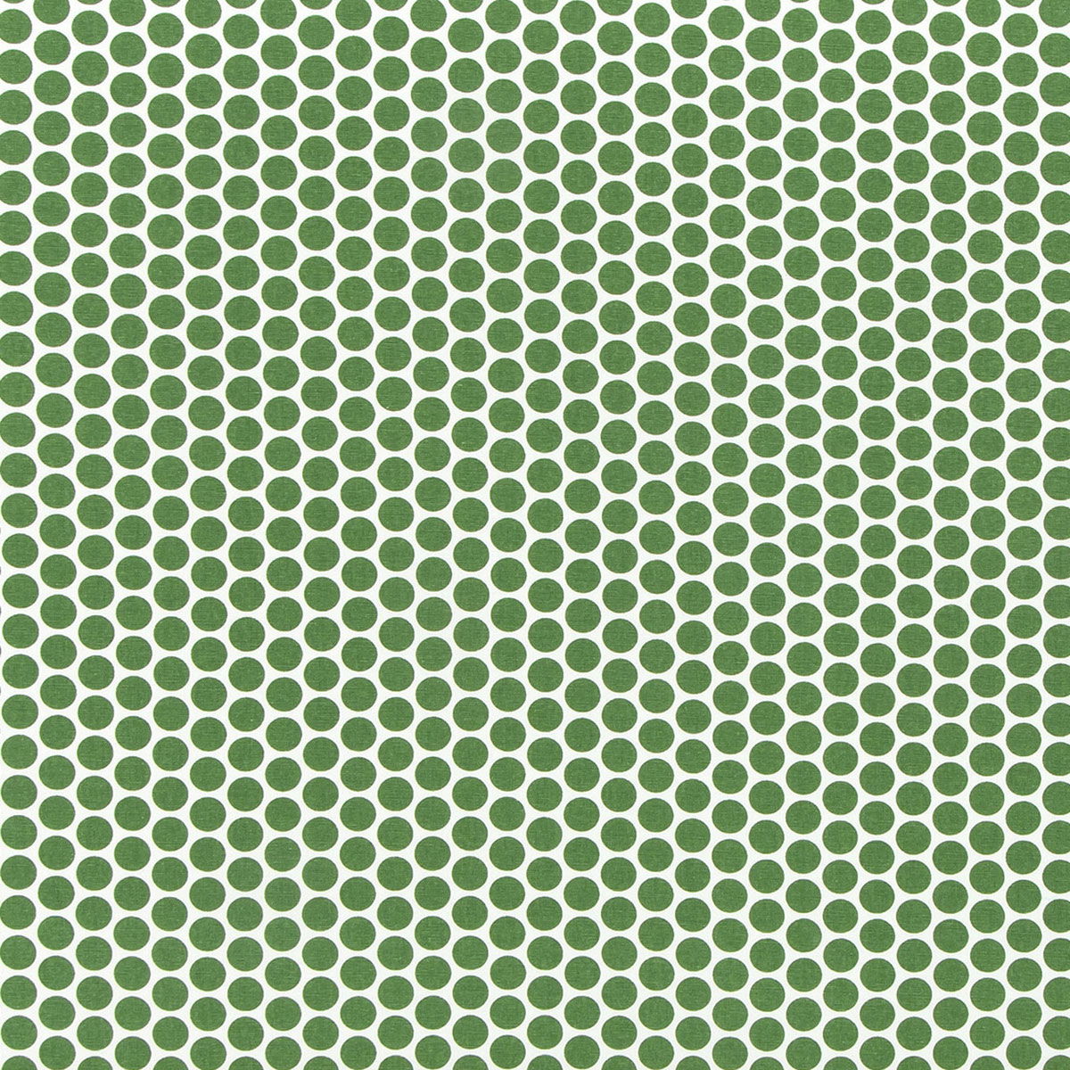 Premier Prints Paco Pine Canvas Fabric | OnlineFabricStore