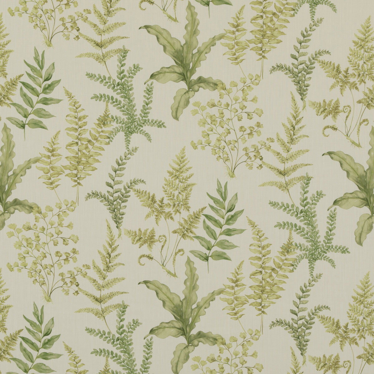Baker Lifestyle Ferndown Green Fabric | OnlineFabricStore