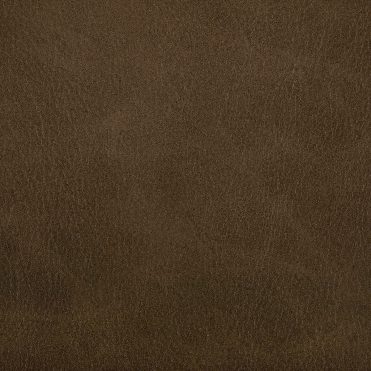 Kravet Toni Etruscan Fabric | OnlineFabricStore