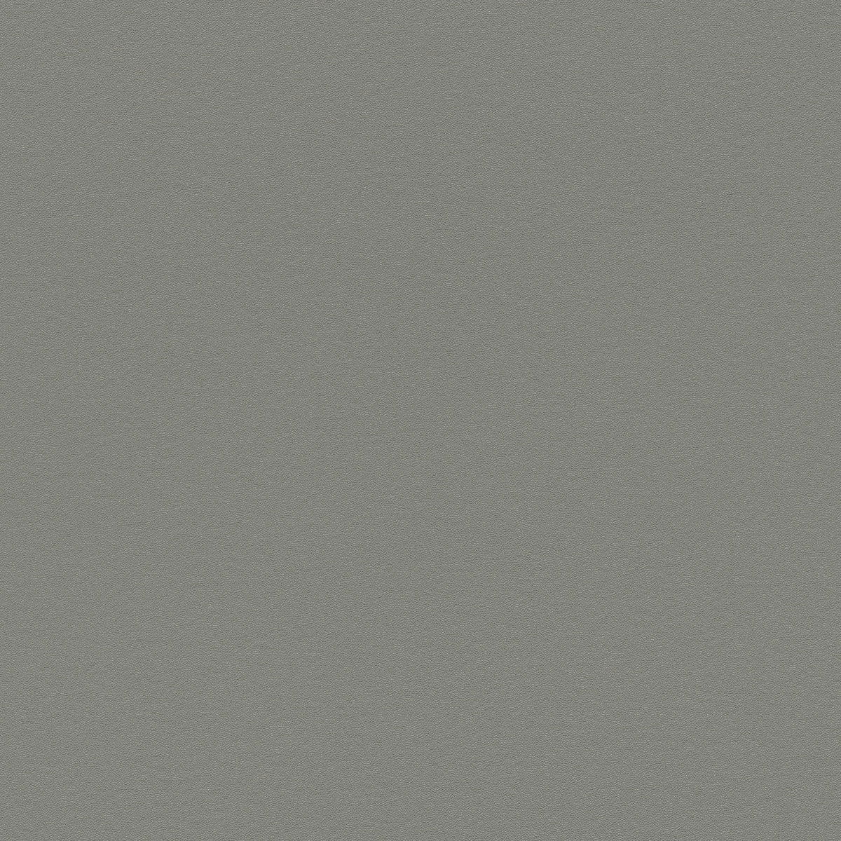 Ultrafabrics® Ultraleather® Fusion Dime Fabric | OnlineFabricStore