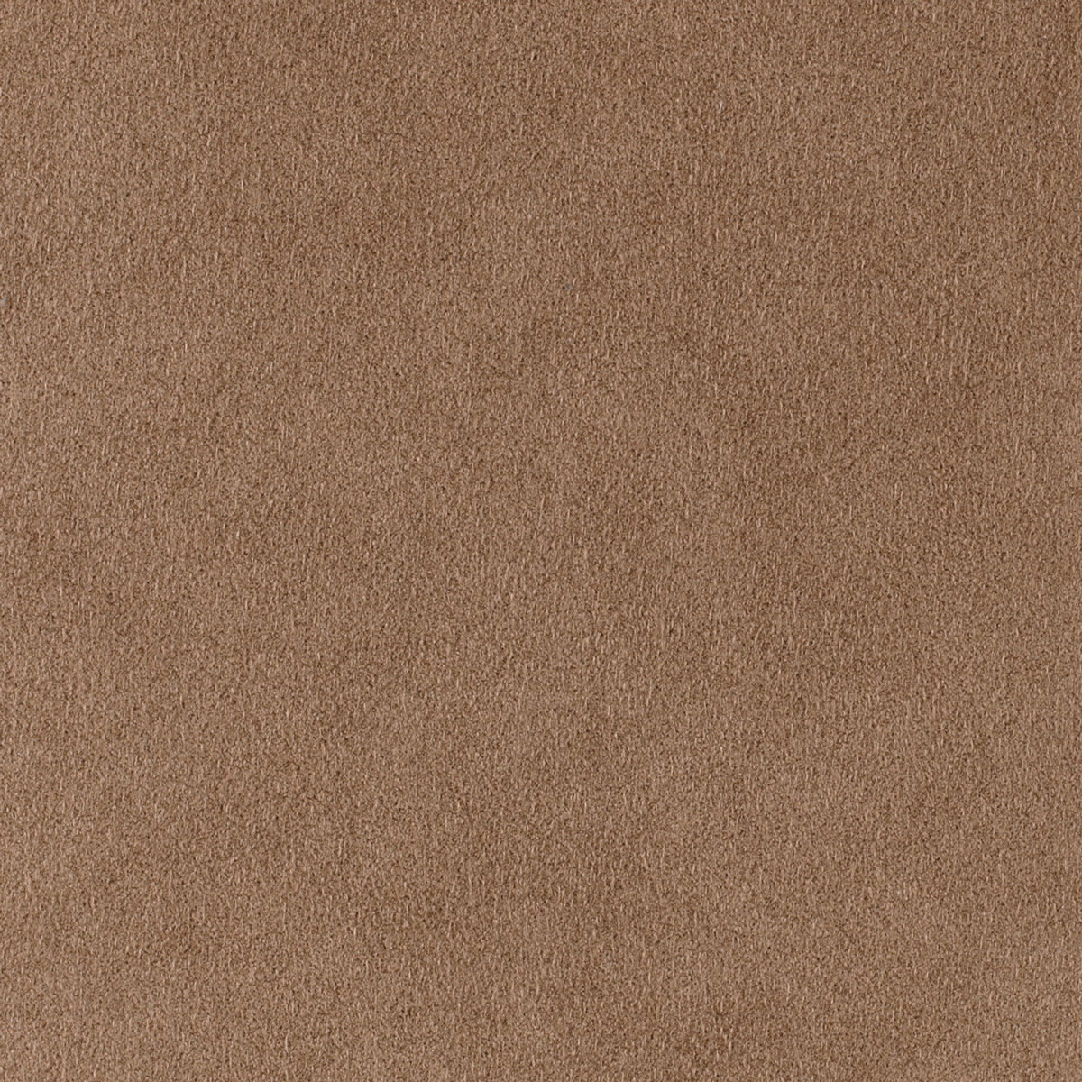 Toray Ultrasuede® HP 3282 Fawn Fabric | OnlineFabricStore