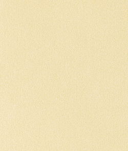 Toray Ultrasuede® HP 3582 Almond Fabric | OnlineFabricStore