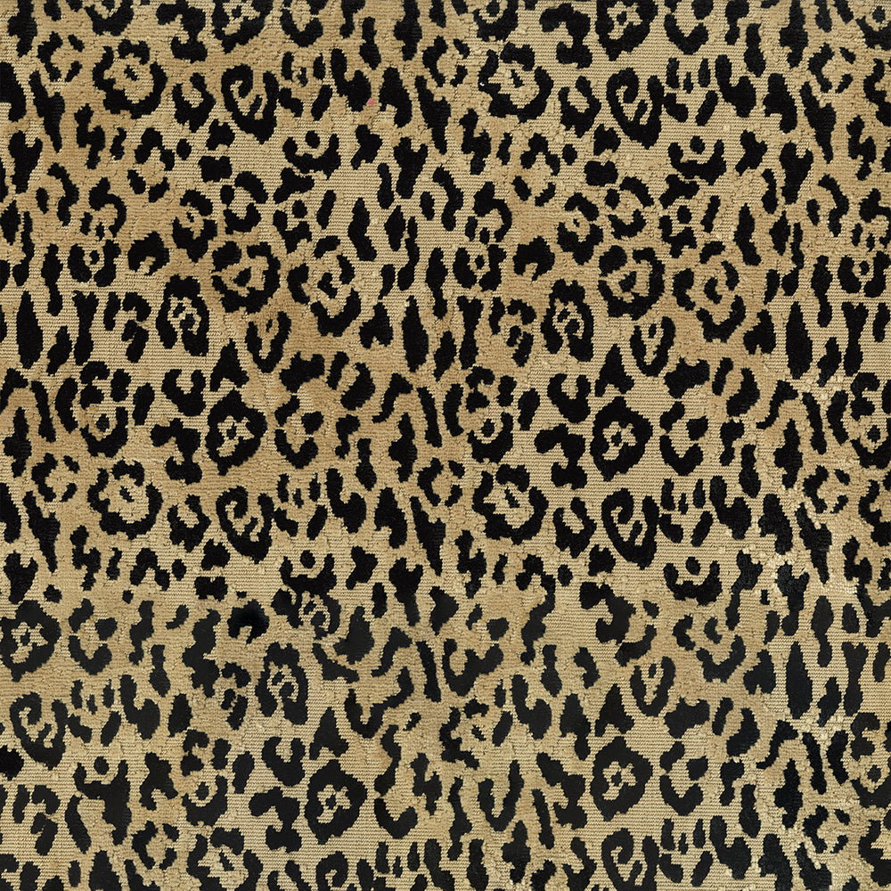 ABBEYSHEA Lipped 54 Coin Fabric | OnlineFabricStore